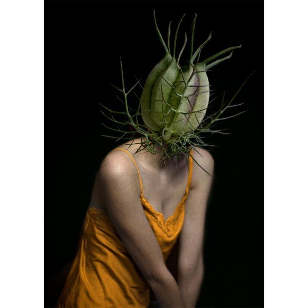 Human Body is Art – Bruxelles Art Vue